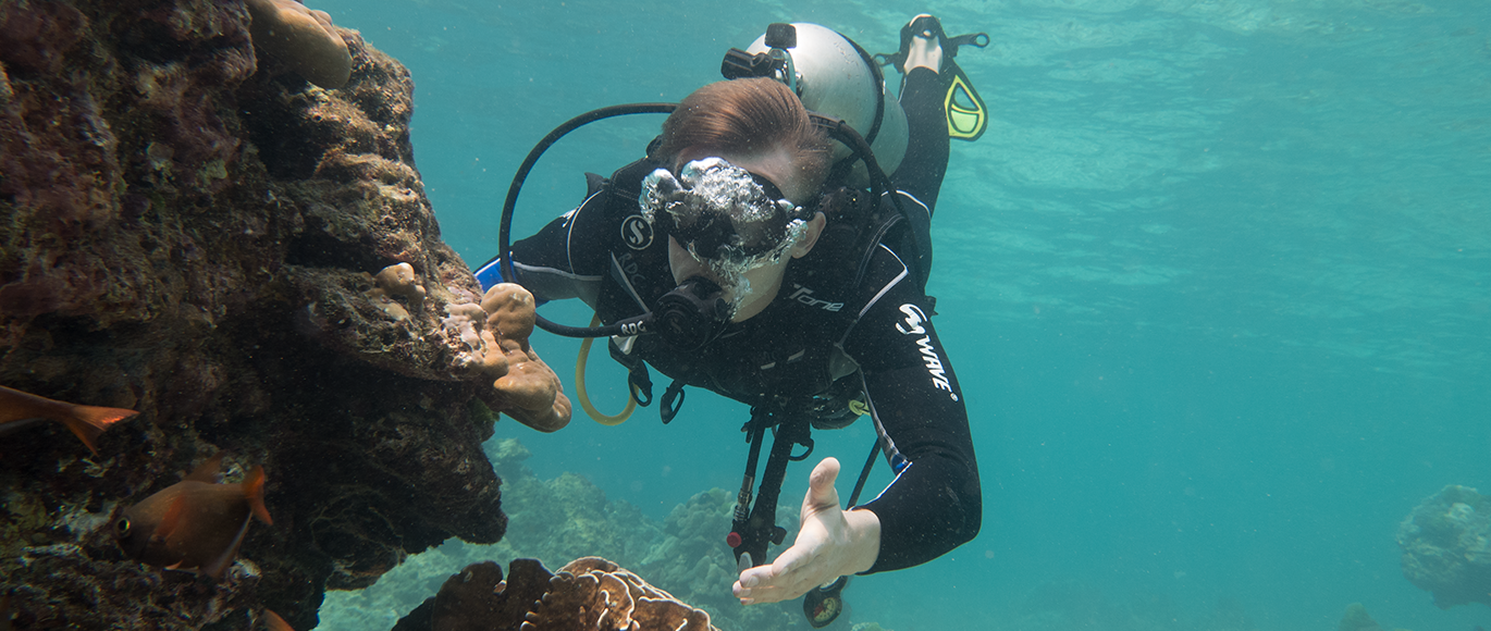 The differences between snorkeling, deep diving and free diving – wave